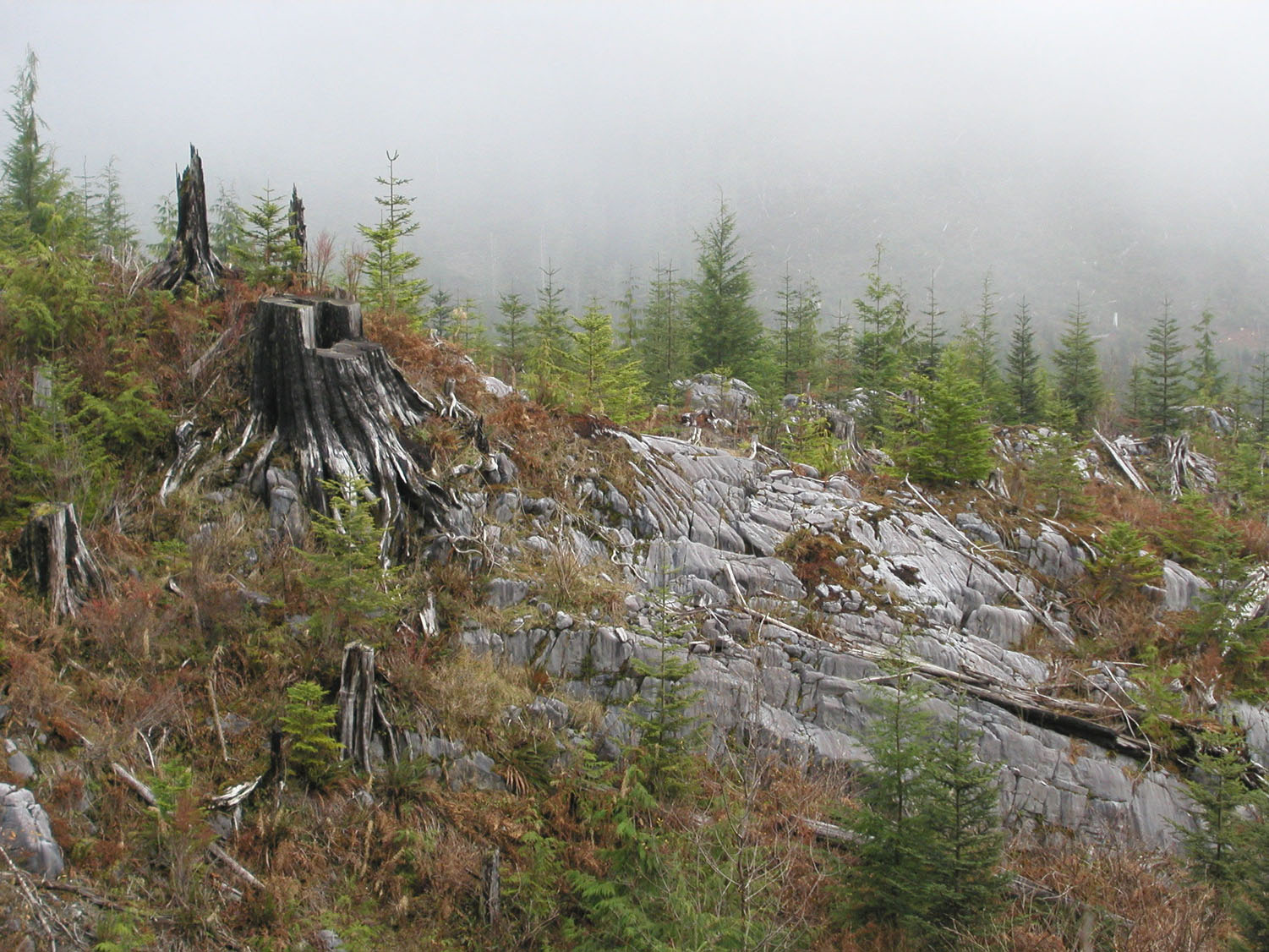 12.6 Human Interactions with Karst and Caves – Environmental Geology