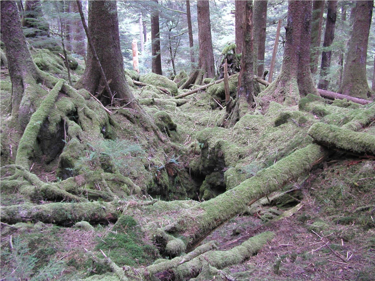 12.1 Karst Landscapes and Systems – Environmental Geology