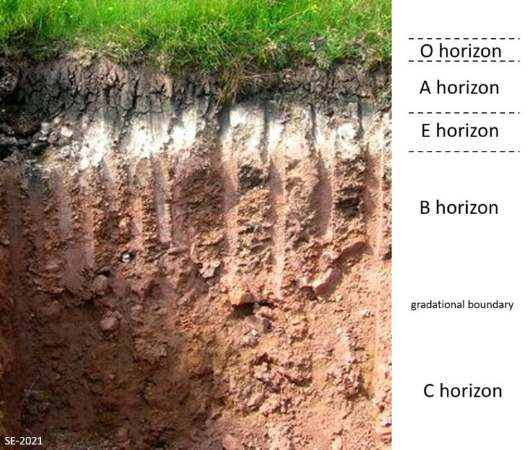 10.3 Soil Formation – Environmental Geology