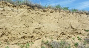 10.3 Soil Formation – Environmental Geology